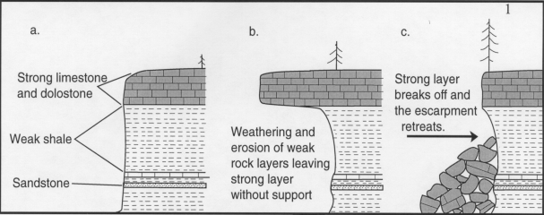 Wine -- Mise en abyme: Bedrock Formation in Canada's Niagara Peninsula