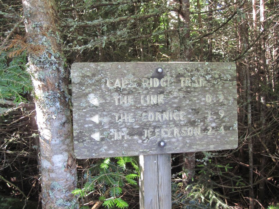 Outdoor Diversion: Mount Jefferson via Caps Ridge Trail