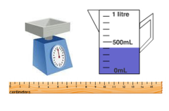 #70 Practical exam - Taking measurements | Biology Notes for A level
