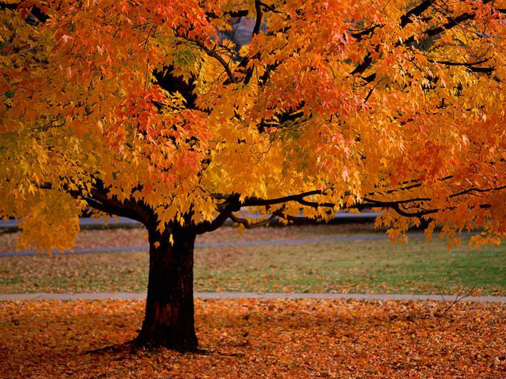 Owsblog...: October... Owsblog...: October...