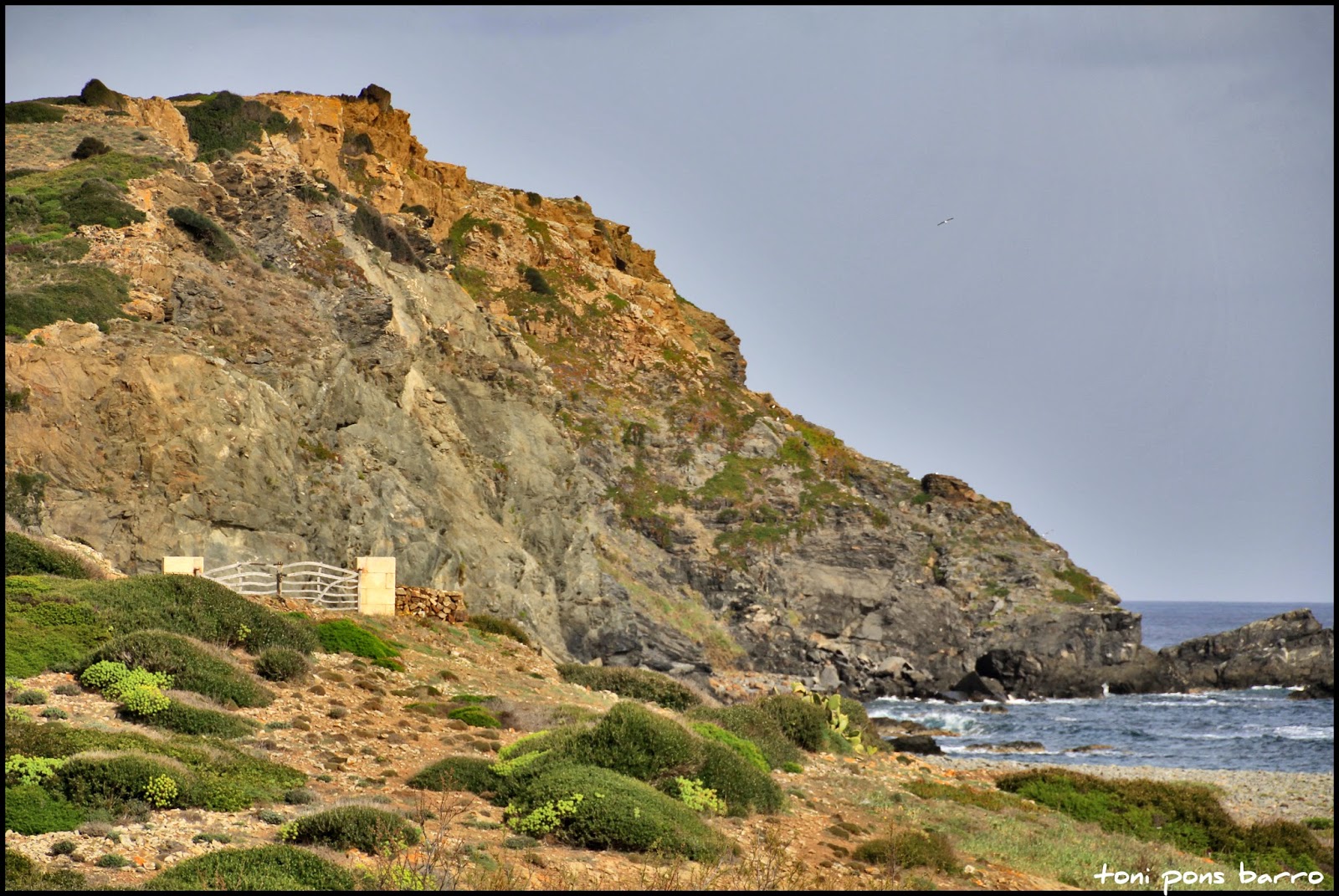 -MENORCA-: Un Paseo por Sa Mesquida (32 fotos)