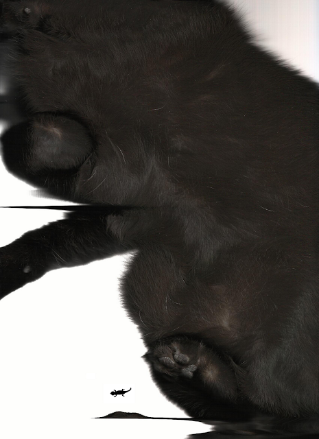 The Edigator News: noviembre 2011