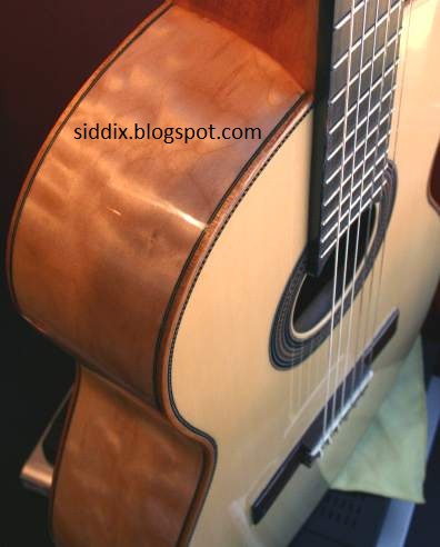 8 Jenis Kayu yang Digunakan Untuk Membuat Gitar Akustik - Siddix