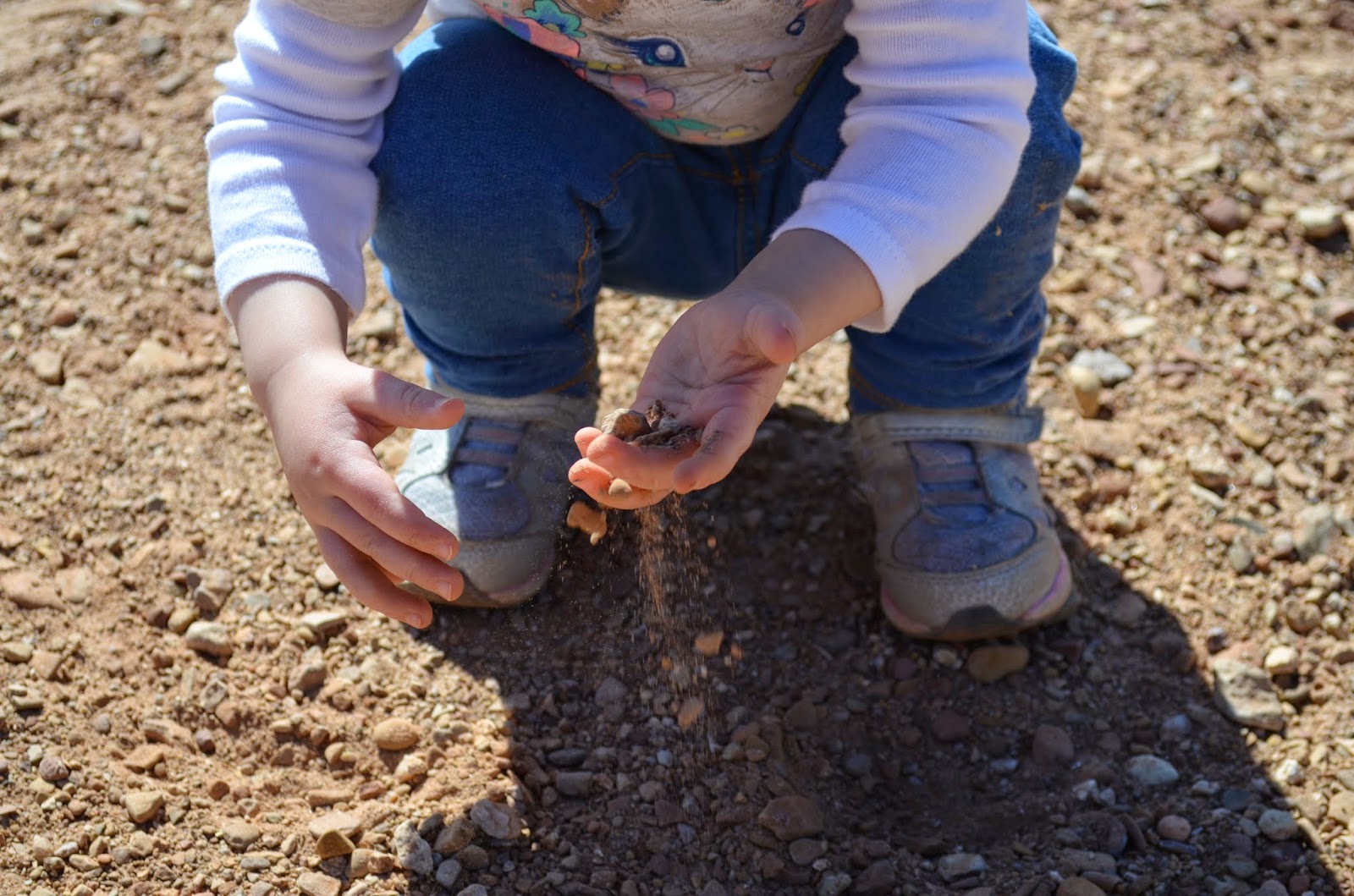 Rachel Sallee Parker