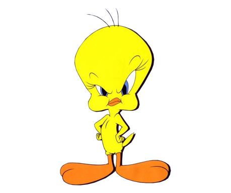 Northern Reflections: Tweetie Pie In The White House