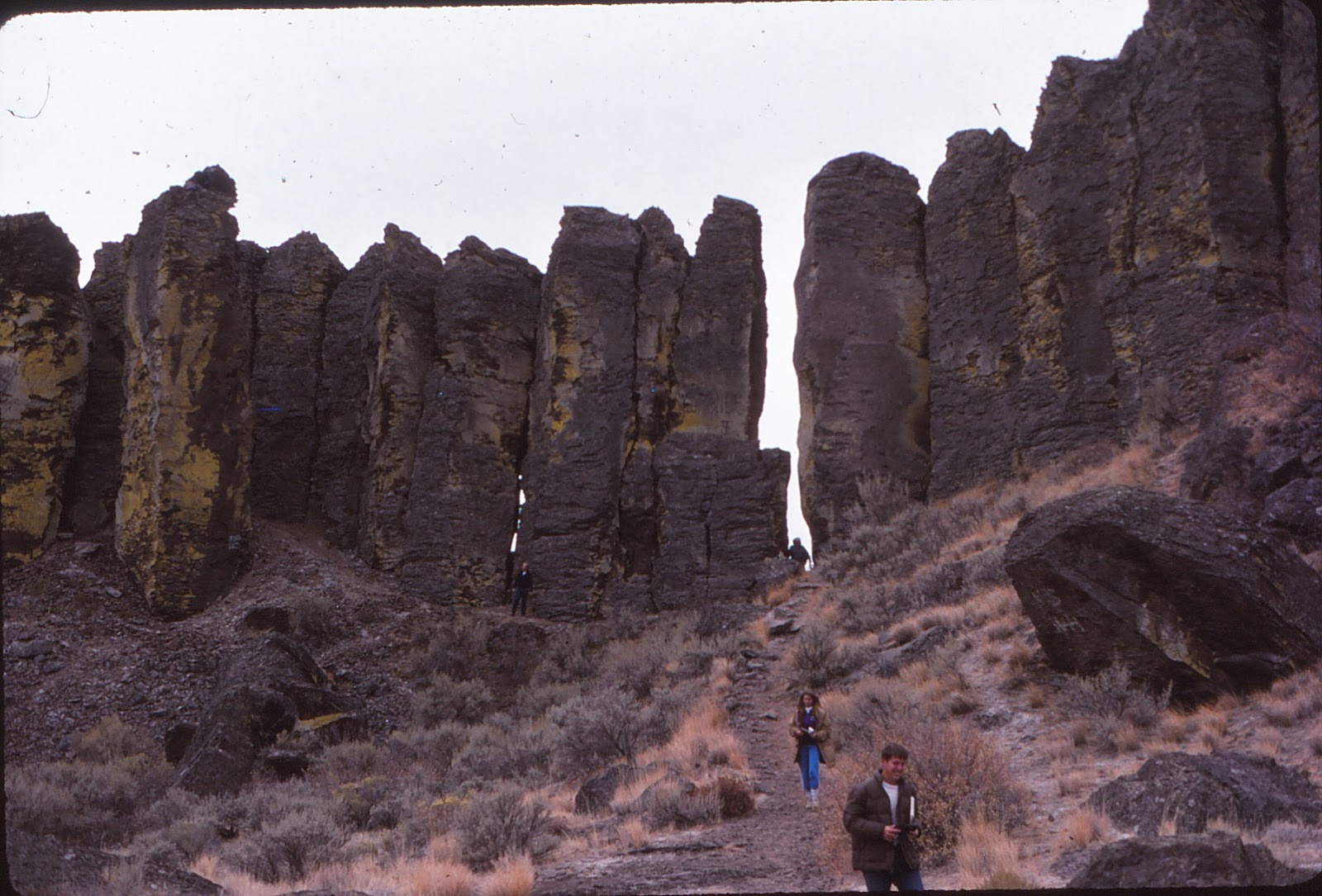 Reading the Washington Landscape: Giant Columns and Palagonite