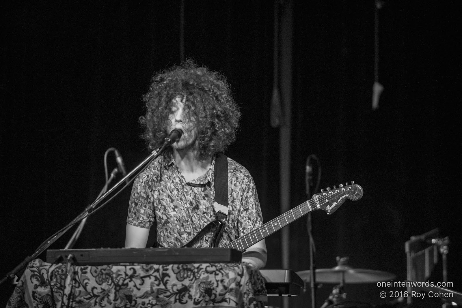 one in ten words: Vinyl Williams at Lee's Palace - Concert Pictures