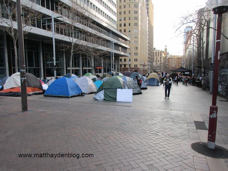 Die, Fluffy Wuffy, Die!: Intensity in tent city: Clover Moore gets Sirius!