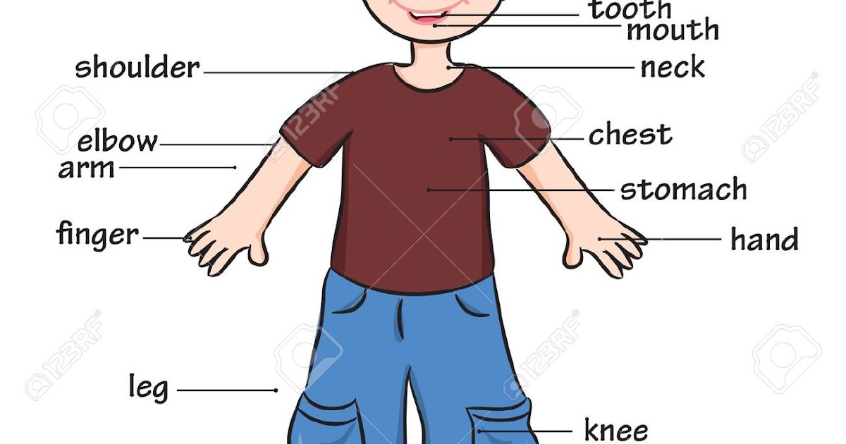 Learn English with Natalia: Five Senses: Parts of the body quizlet