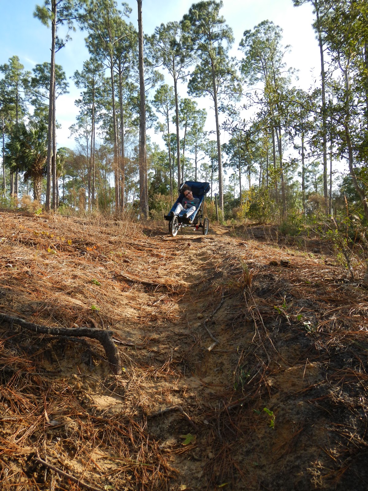 Kellisa's Path: Graham Swamp Conservation Area
