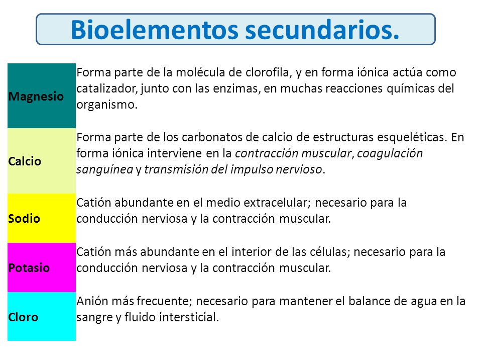 PRIMERO DE BACHILLERATO A - B : TEMA 5: BIOELEMENTOS SECUNDARIOS 11-11-2018
