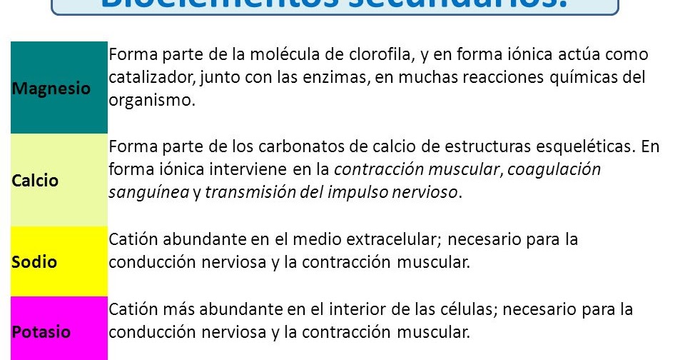 PRIMERO DE BACHILLERATO A - B : TEMA 5: BIOELEMENTOS SECUNDARIOS 11-11-2018