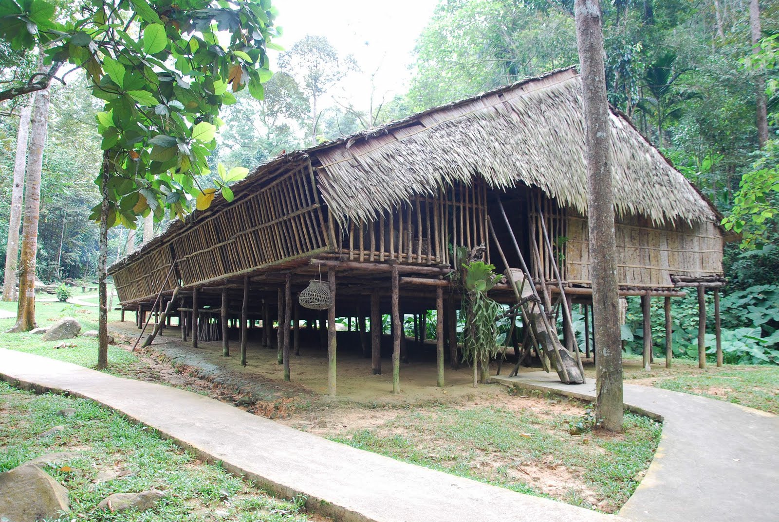 Konsep 37+ Longhouse