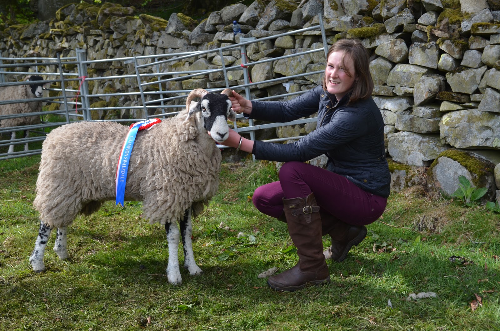 Teesdale Mercury: High Force spring title goes to Harwood gimmer hogg