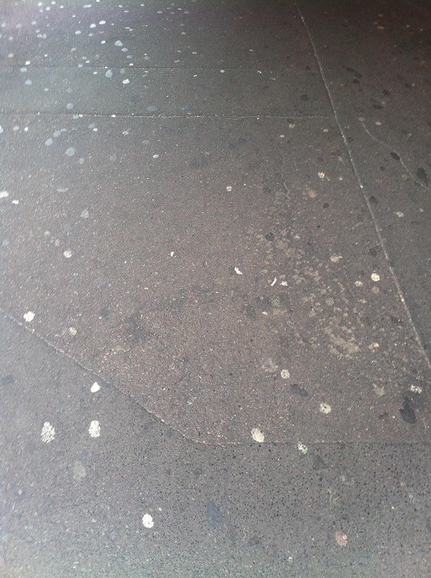 collected photographs: chewing gum on the foot path