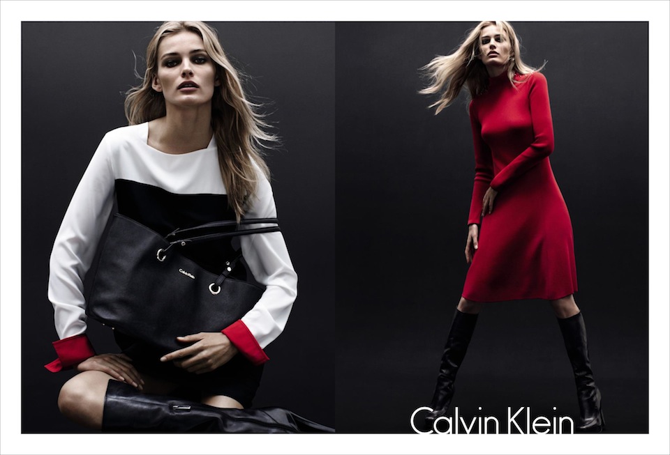 Ad Campaign: Calvin Klein White Label F/W 12.13: Edita Vilkeviciute ...