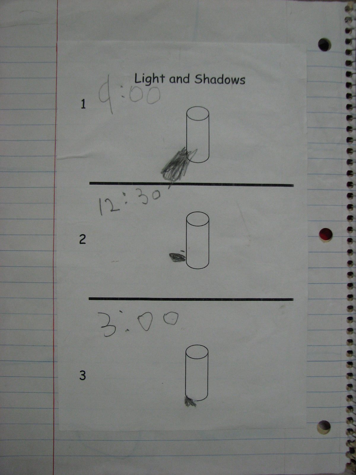First Grade Randomness: Large Class Science Journal / Student Learning ...