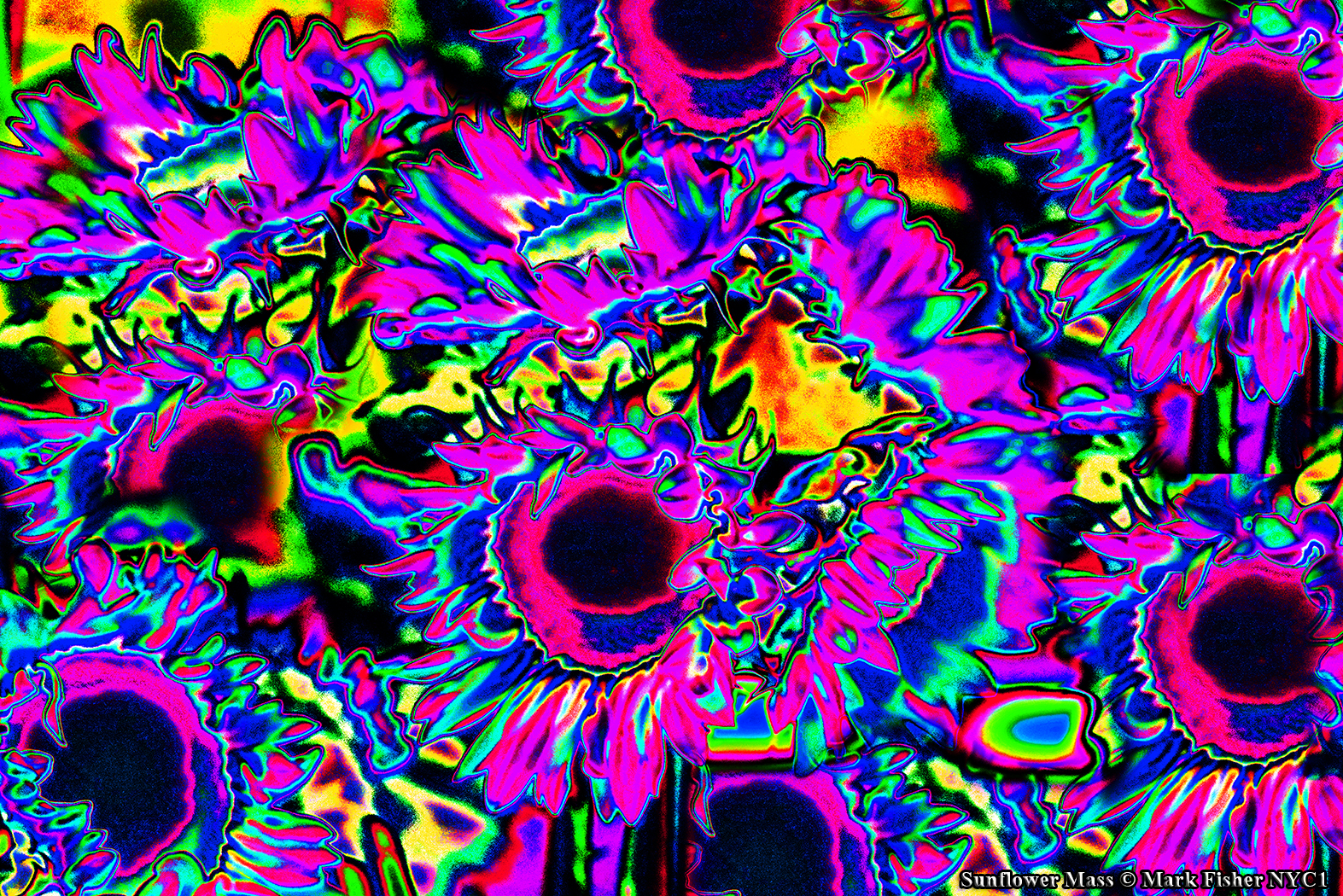 The World of Photographer Mark Fisher: Sunflower Mass • American ...