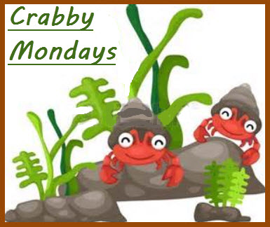 Sarge Speaks Out: Crabby Monday...Shelldon is Topside
