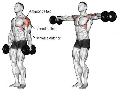 Muscle Palace: How To Get Bigger Shoulders - Tips and Shoulder Workout ...