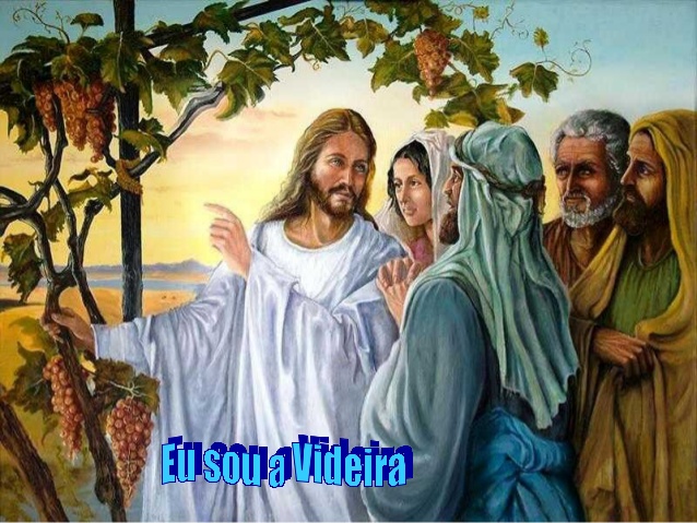 SUPRIMENTO INVISÍVEL: A videira é a Presença Invisível dentro de nós ...