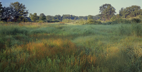 Northwest Indiana Historian James B Lane: Prairie's Edge