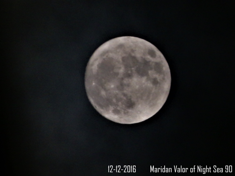 Night Sea: A Few Of My Favorite Things, Random Pictures.