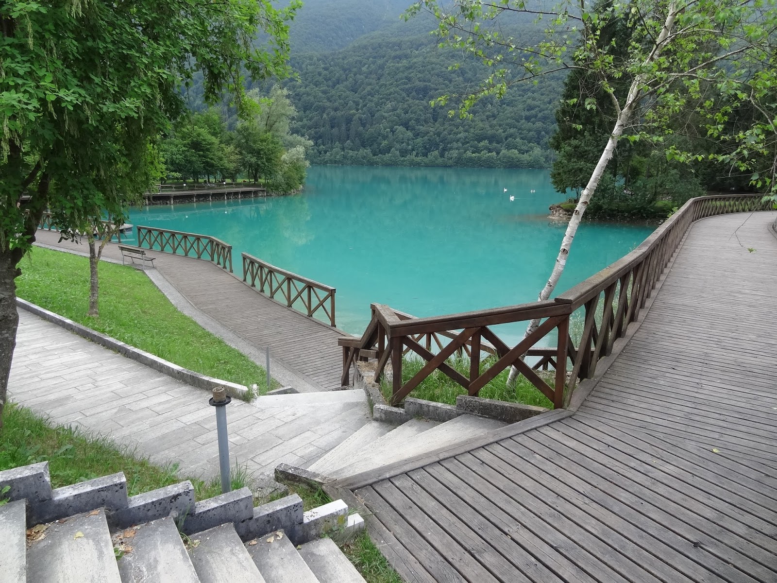 The Life of a Wildflower: Lake Barcis and swimming holes