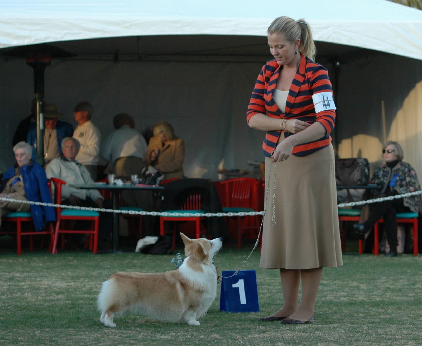 DOG SHOW POOP: CORGI TWO'FER IN GRIDLEY CA