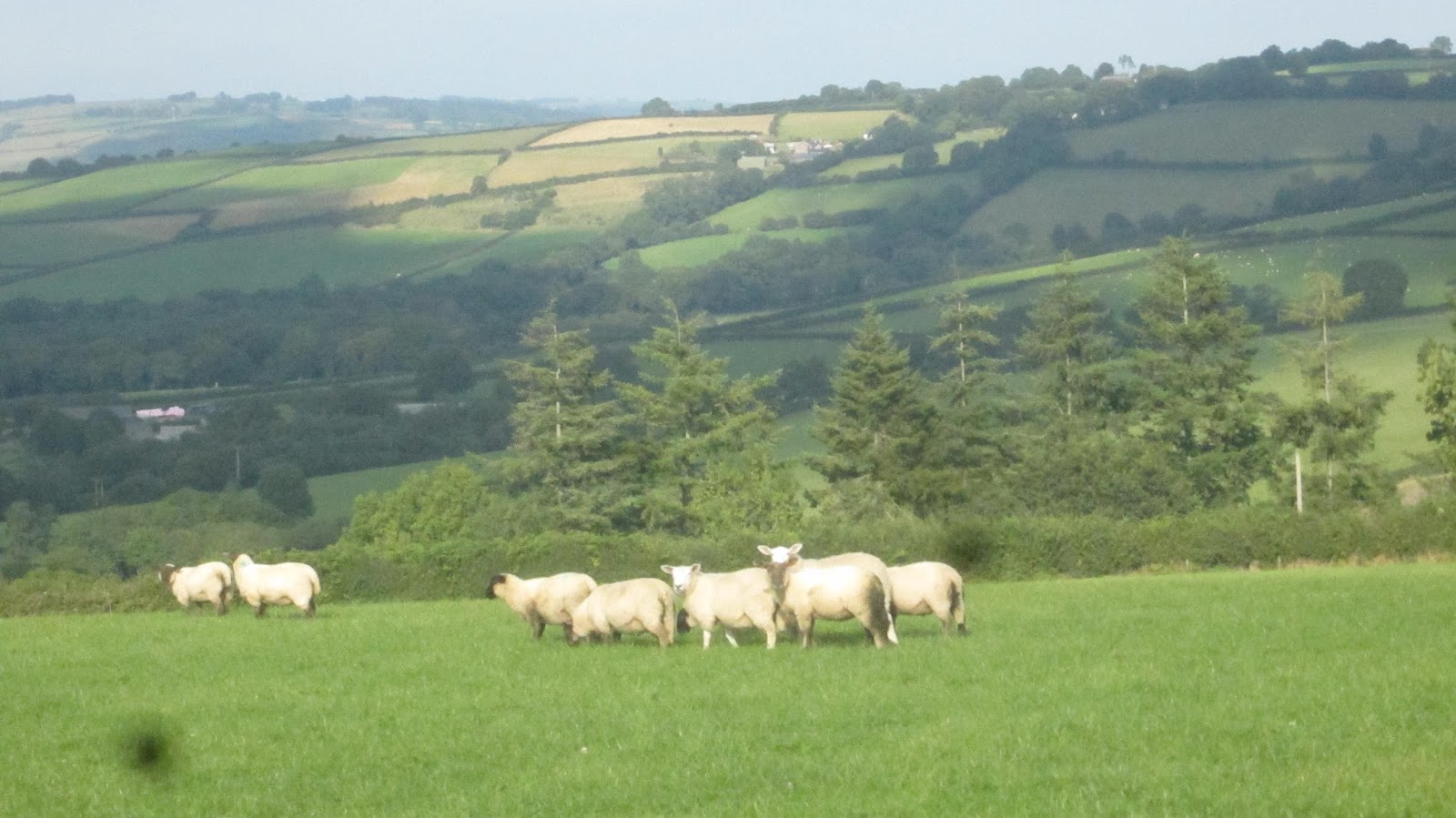 Life on a Welsh Farm: October 2015
