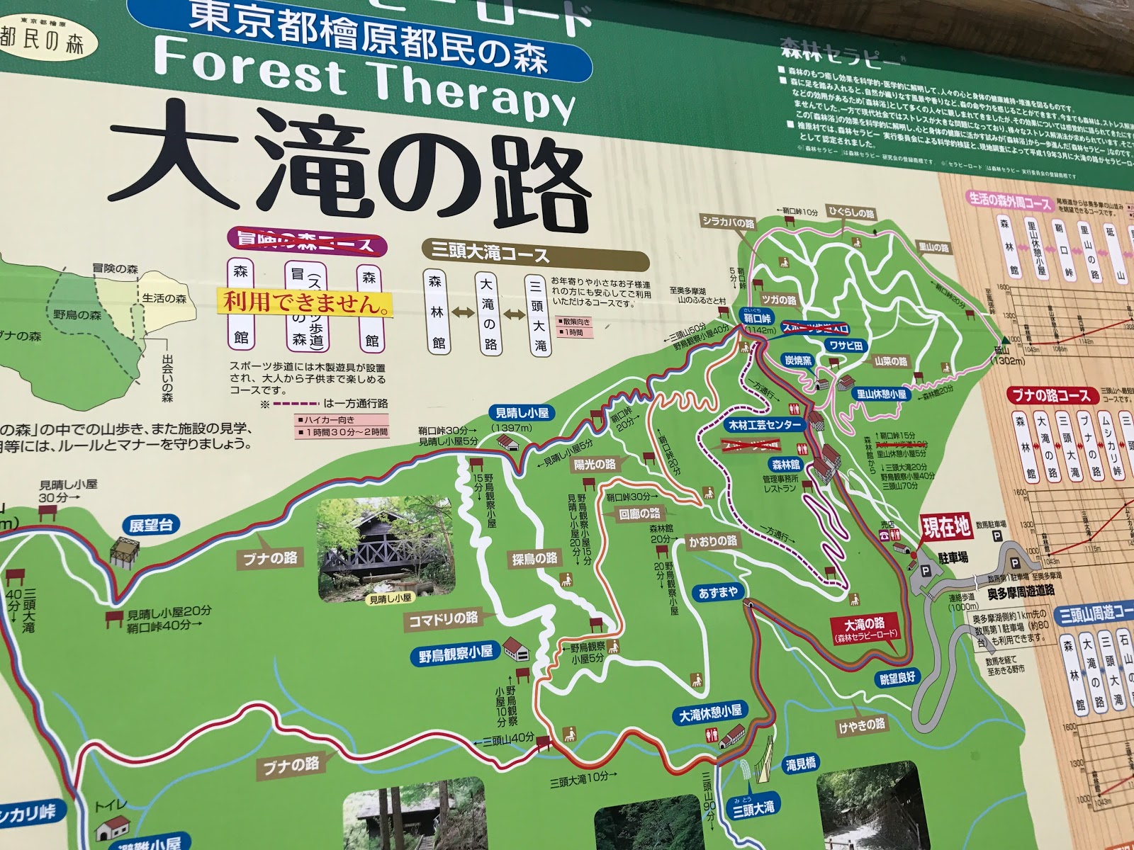 Hiking in Tokyo: Mt. Fuji View from Okutama's Mt. Mito (三頭山 ...