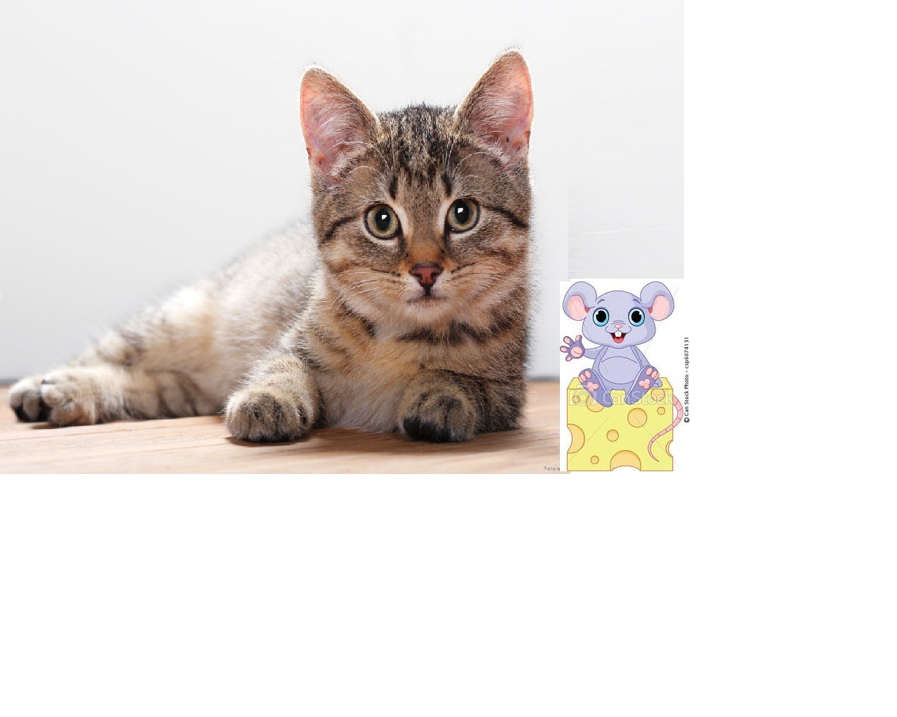 Escuela de Ratoncitos: Guerra entre los gatos y los ratones