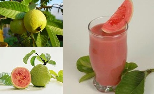 Khasiat Jus Jambu Merah bagi Kesehatan - kesehatanpedia