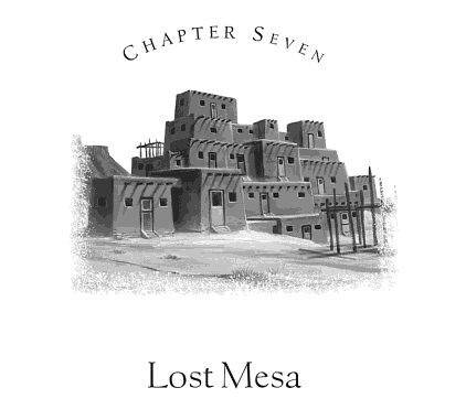 American Indians in Children's Literature (AICL): Brandon Mull's ...