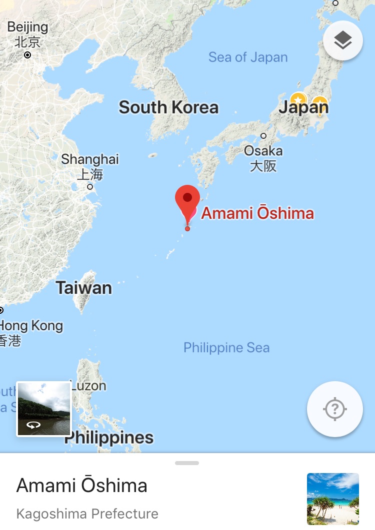 Birding in Japan: Amami Oshima 1