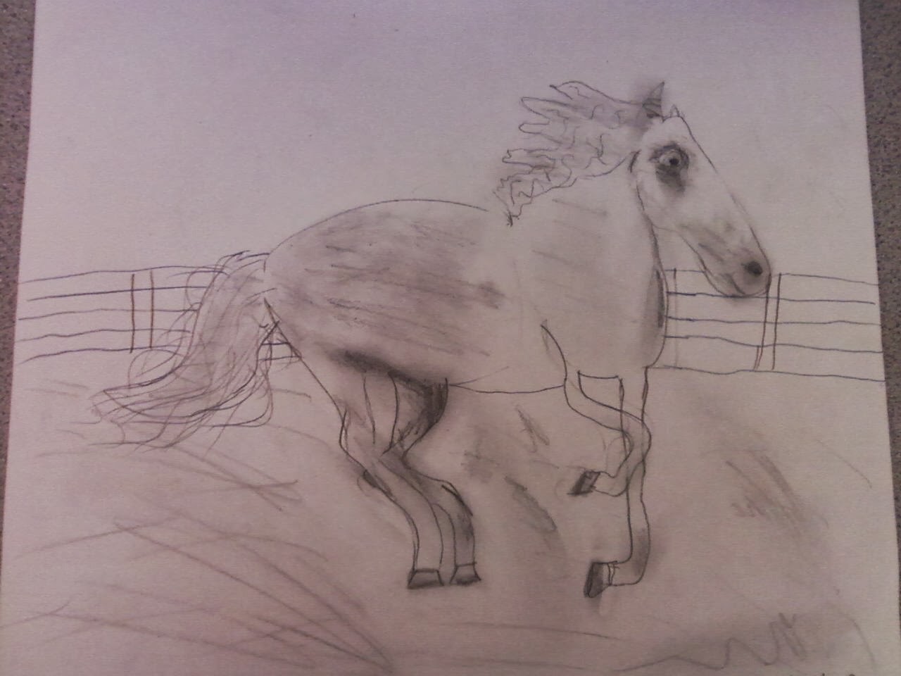 PPPS Elementary Art Rooms: Realistic Animal Drawings 4th Grade Project