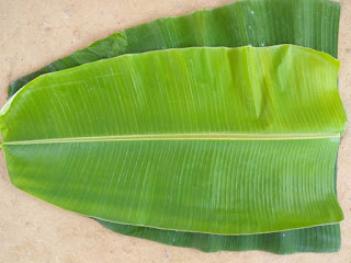 21 AMAZING HEALTH BENEFITS OF BANANA LEAVES (SAGING) - ArbieMAZING Spot