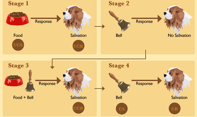 The science behind Pavlovian conditioning #infographic - Visualistan