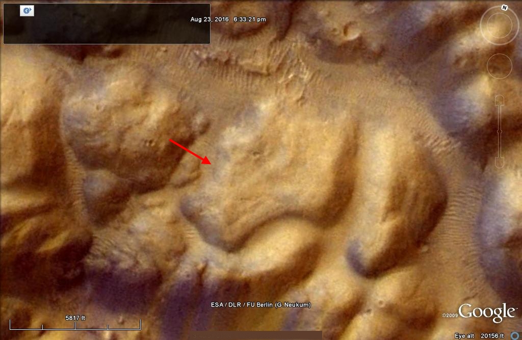 EARTH VERSUS MARS: CANINE HEAD ON MARS
