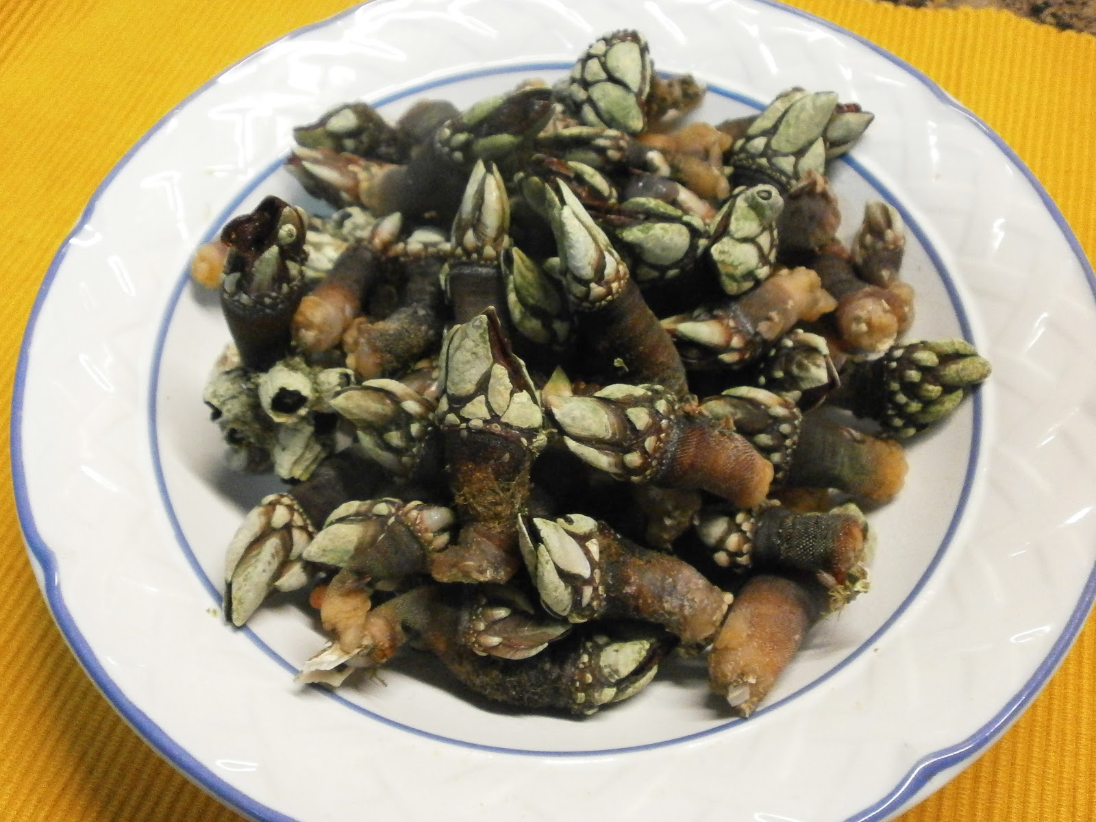 Tximitxurri: PERCEBES COCIDOS