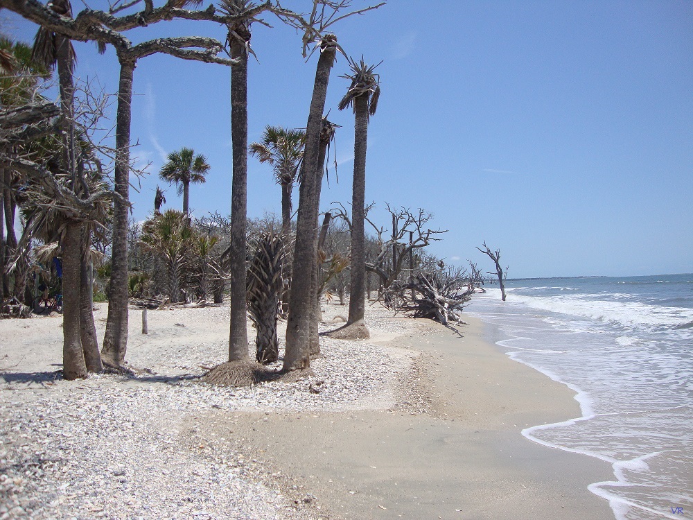 Vacation Rick: Botany Bay Plantation Personifies The Reasons Why I Love ...