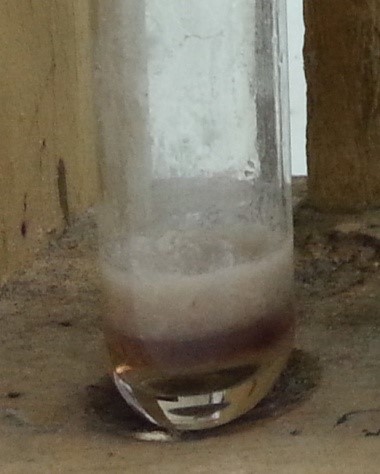 Praktikum Biokimia (Uji Molisch)