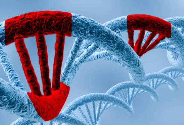 .: Mutaciones y diversidad genética