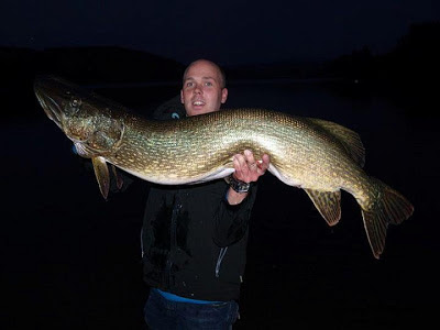 International Fishing News: 2013-05