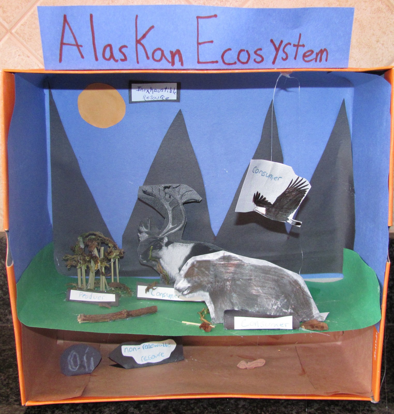 diorama | Ecosystems projects, Life science, Diorama