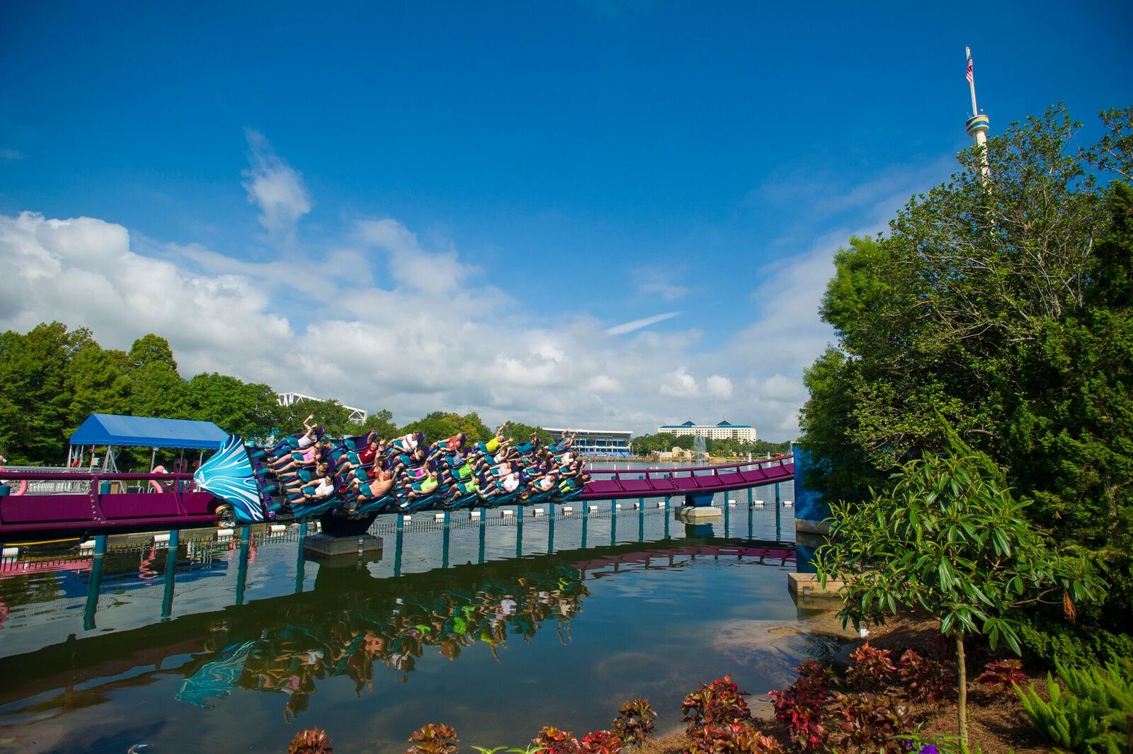 NewsPlusNotes: Mako Hyper Coaster Makes a Grand Debut at SeaWorld Orlando