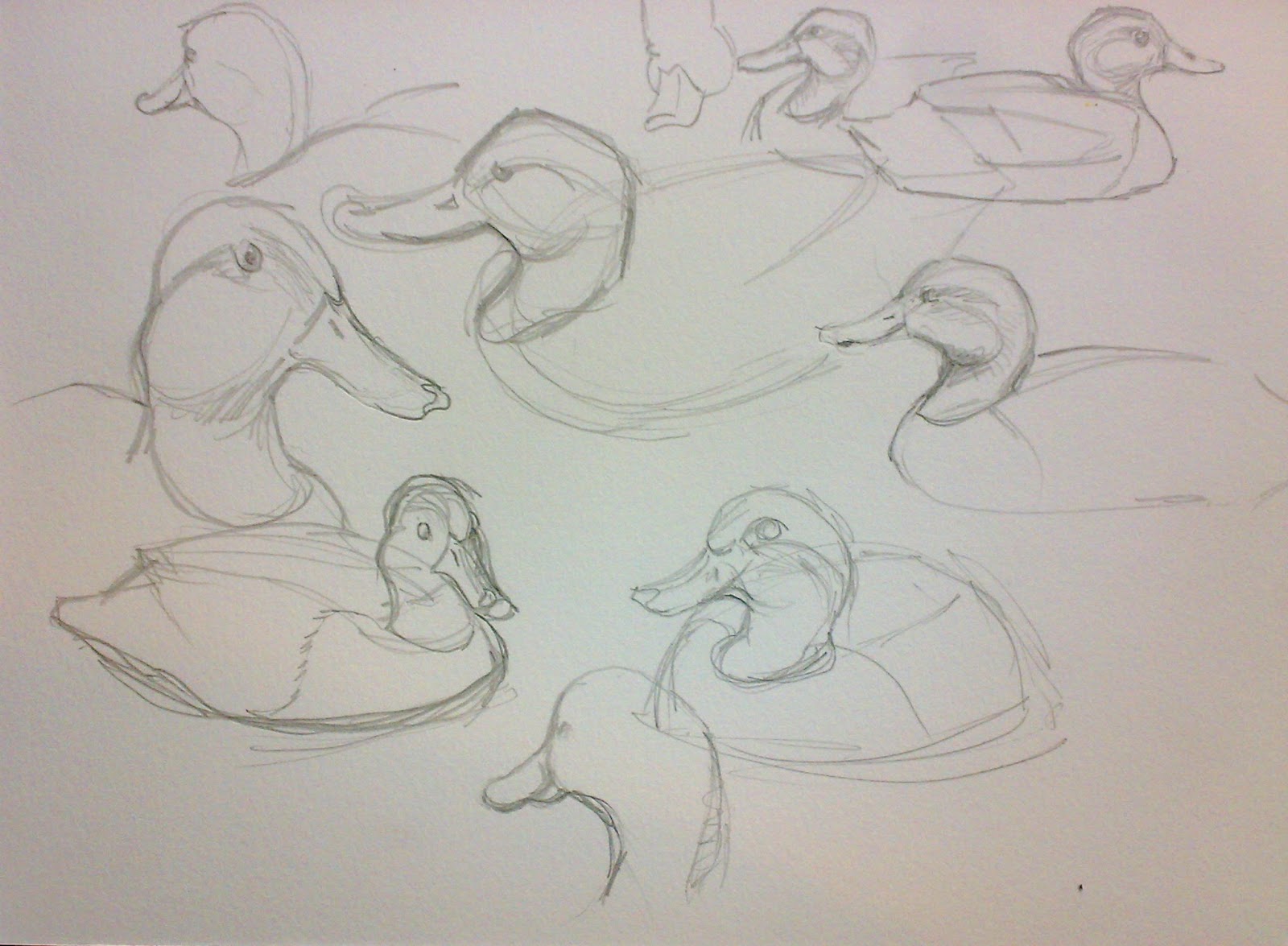 Sketching in Nature: Workshop on naturalistic drawing