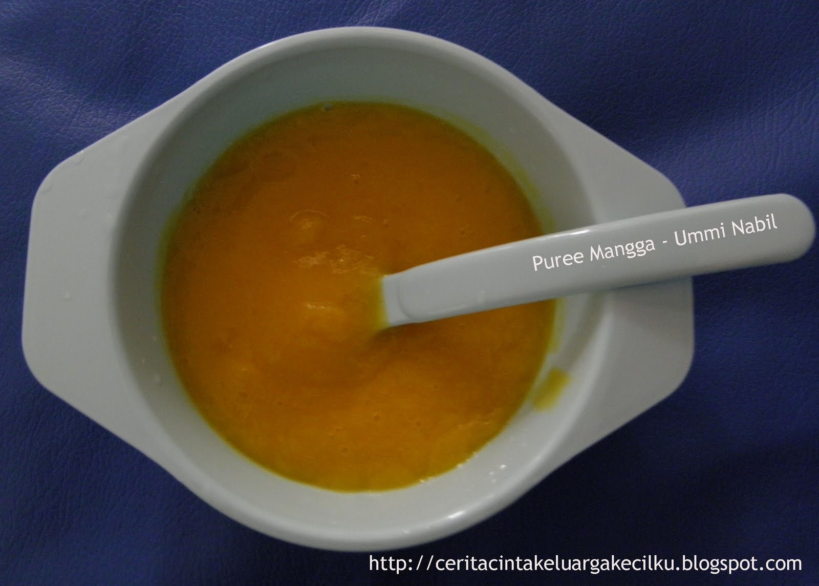 cerita cinta keluargaku: Puree Mangga