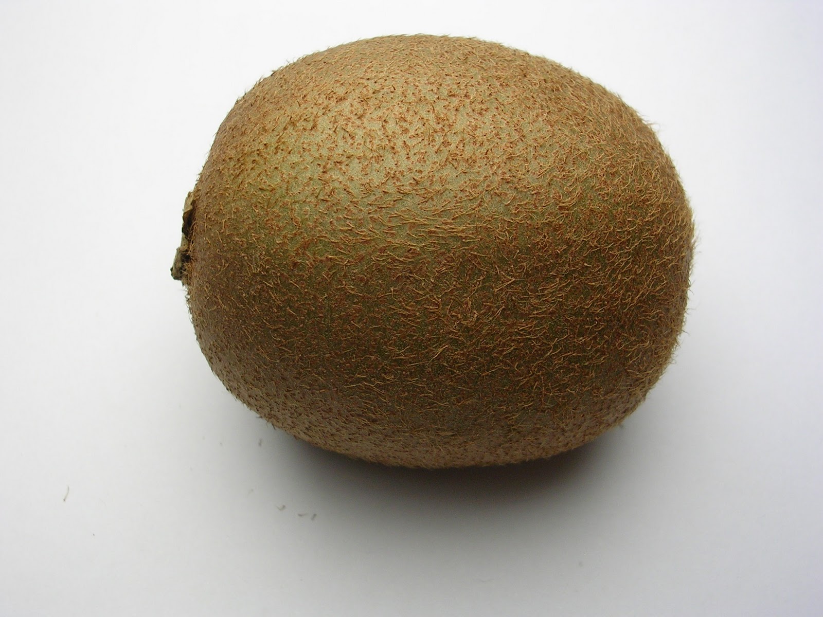 Bilder-Bibliothek: Kiwi, Kiwifrucht