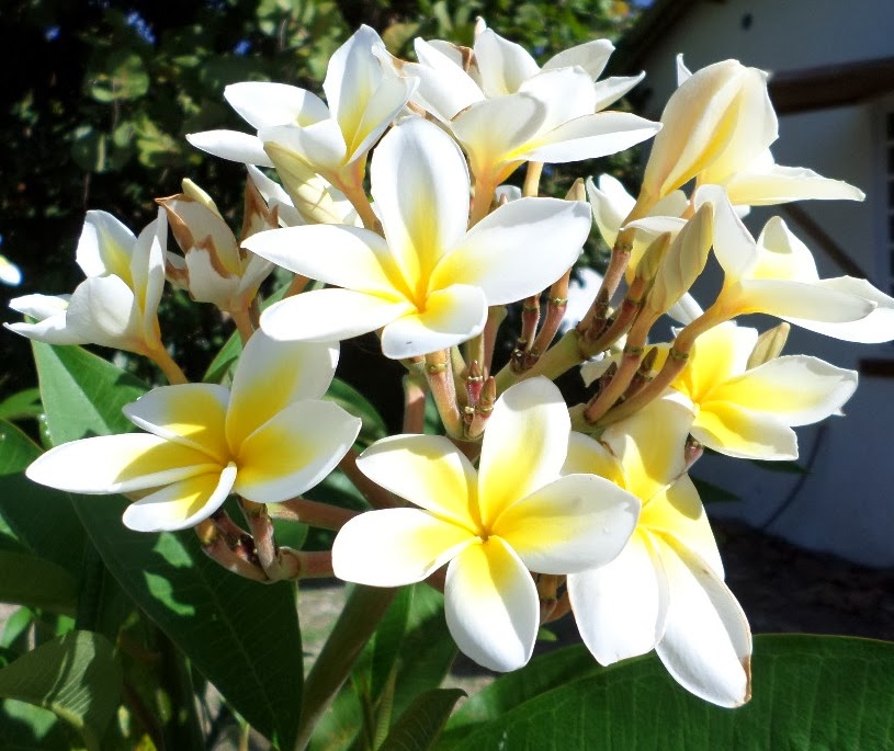 “To travel is to live.” - Hans Christian: What do you love most about ...